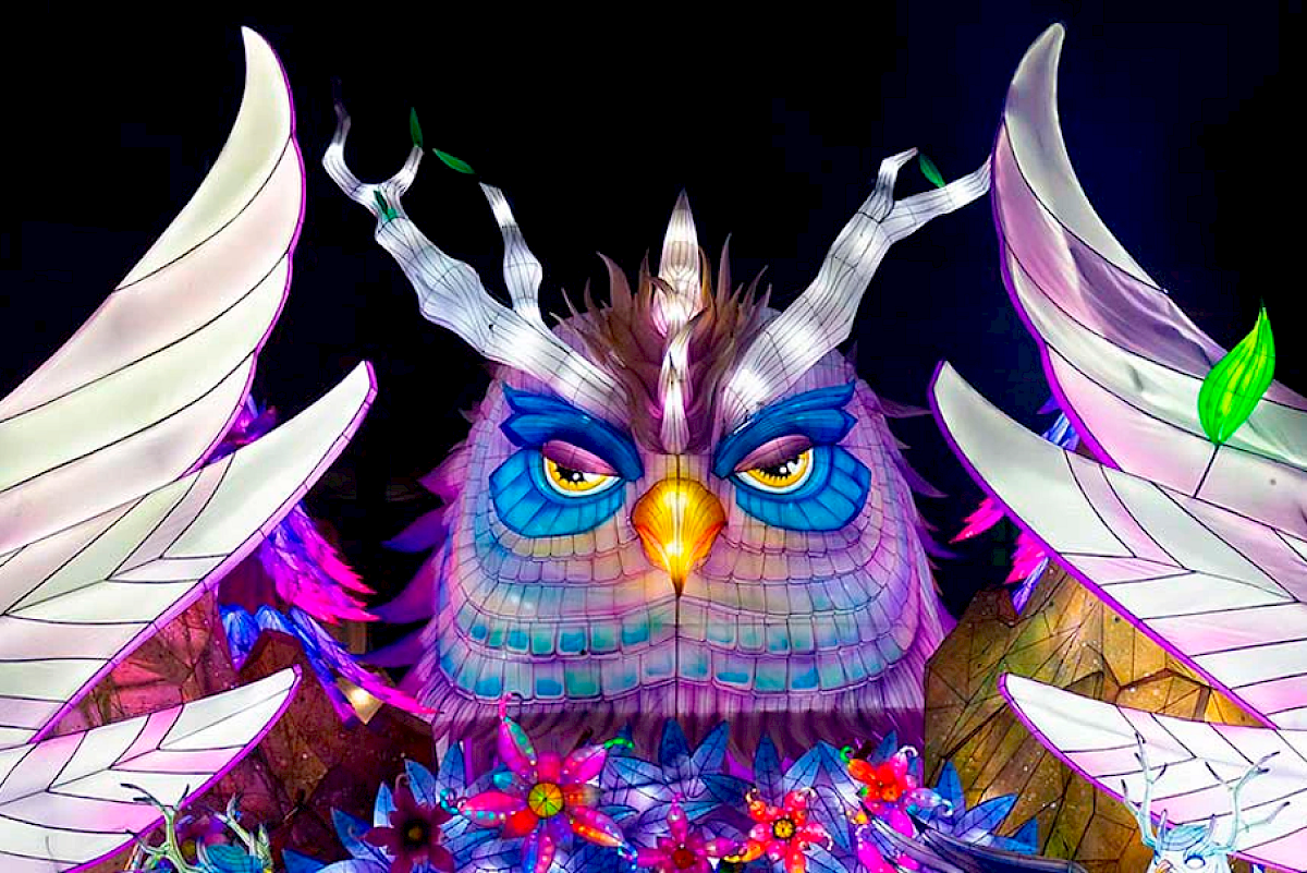 Boston Lights: A Lantern Experience